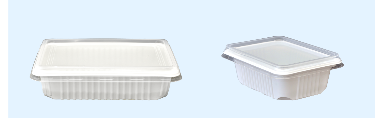Thermoformed Rectangular Container Manufacturer | Cosmo Plastech